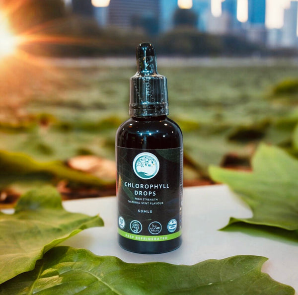 Chlorophyll Drops – Integrative Health Solutions